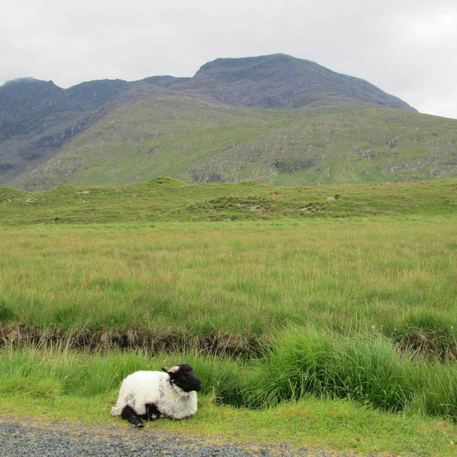 Two Weeks in Ireland: A Guide - The Nomadic Fitzpatricks